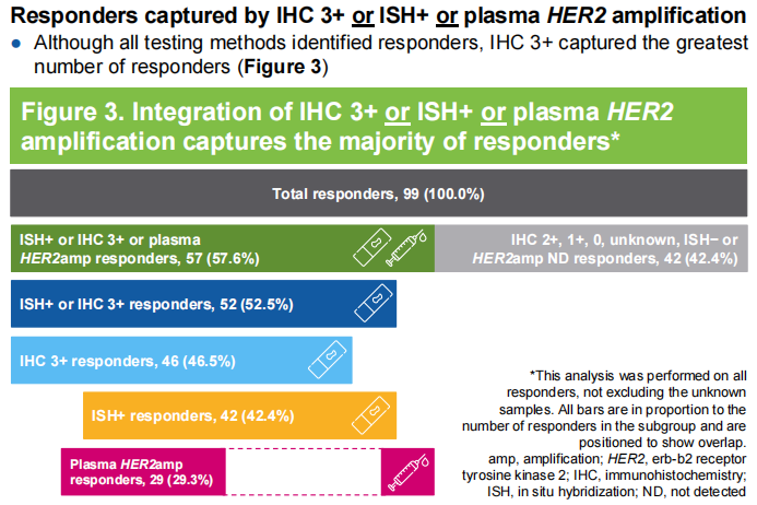 毕蕊教授：病理视角解读DP02研究，揭示泛瘤种HER2检测的挑战与机遇医药新闻-ByDrug-一站式医药资源共享中心-医药魔方