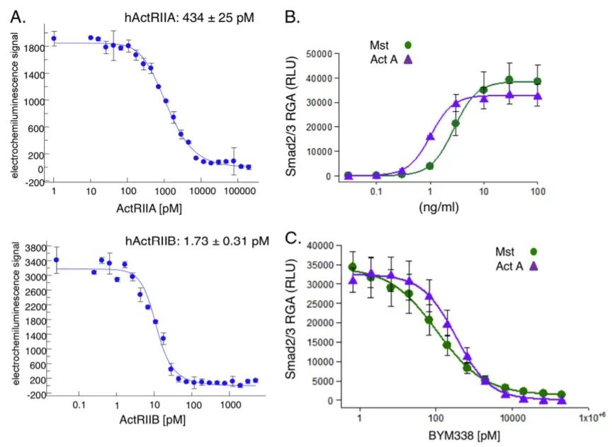 ActrII靶点再被燃爆，Bimagrumab百分百减脂不减肌肉，数据惊艳至极！医药新闻-ByDrug-一站式医药资源共享中心-医药魔方