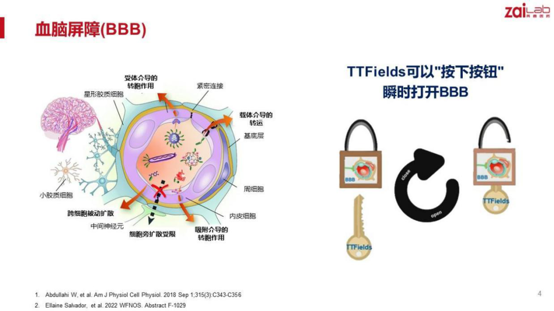 2022 WFNOS-肿瘤电场治疗(TTFields)突破血脑屏障(BBB) - 化疗药物递送新方式医药新闻-ByDrug-一站式医药资源共享中心-医药魔方