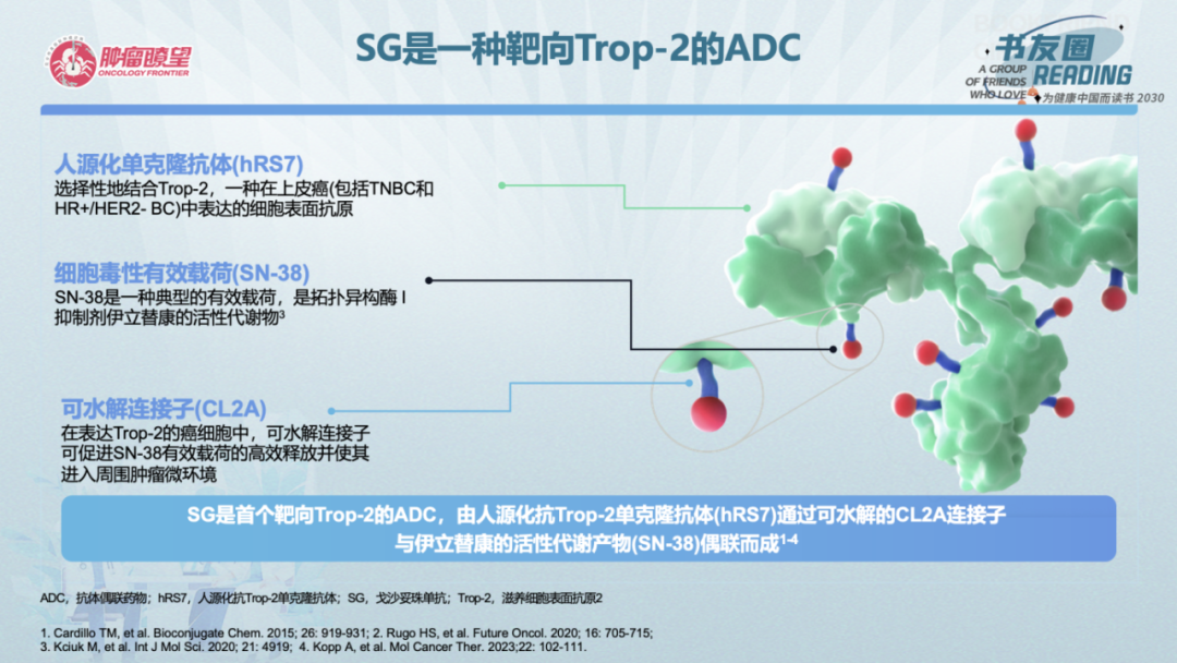书友圈丨杨谨、贾勇圣、易文君教授解析Trop-2 ADC作用机制及临床研究现状医药新闻-ByDrug-一站式医药资源共享中心-医药魔方