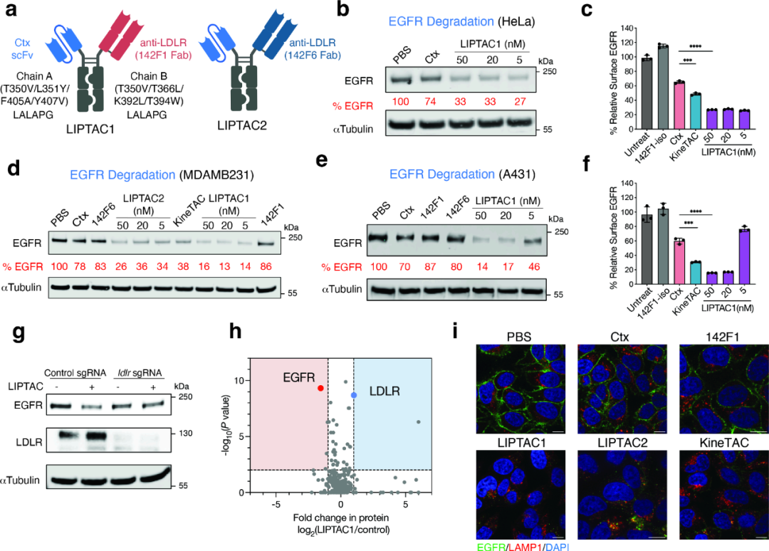 ADC之后，DDC来了 | JACS医药新闻-ByDrug-一站式医药资源共享中心-医药魔方