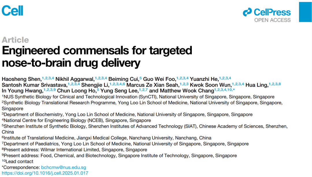 Cell | 工程化共生菌，将药物从鼻腔送到大脑！突破血脑屏障又一途径医药新闻-ByDrug-一站式医药资源共享中心-医药魔方