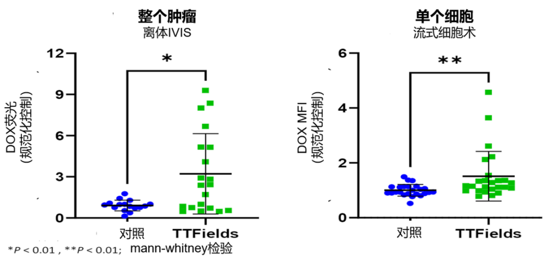 再放e彩丨2022 WFNOS&AACR：肿瘤治疗电场（TTFields）增高细胞膜通透性医药新闻-ByDrug-一站式医药资源共享中心-医药魔方
