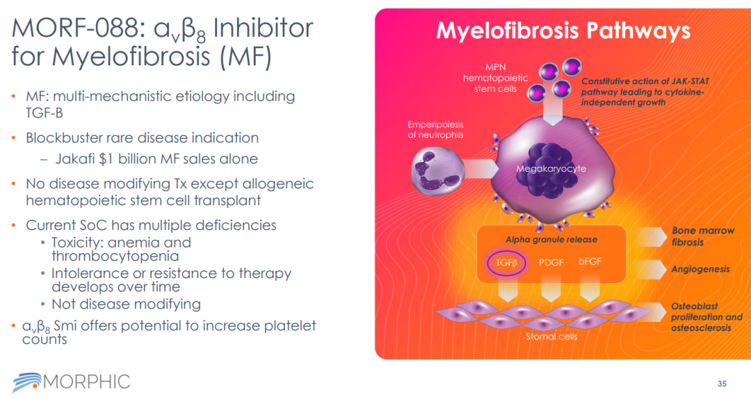 32亿美元！礼来收购Morphic，持续进军炎症性肠病领域医药新闻-ByDrug-一站式医药资源共享中心-医药魔方