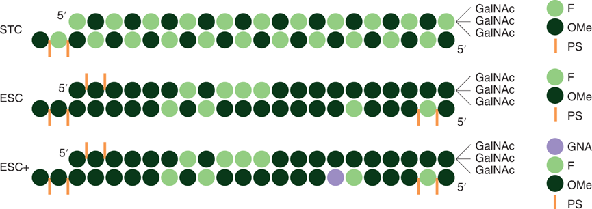 从“诺奖技术”到“突破性药物”，siRNA披荆斩棘的二十年医药新闻-ByDrug-一站式医药资源共享中心-医药魔方