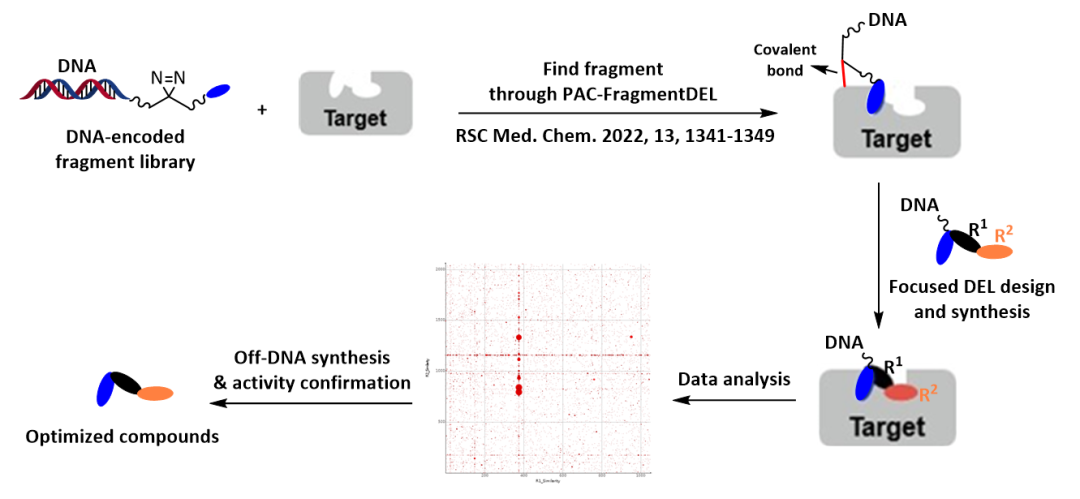 DEL for 药物分子优化场景应用医药新闻-ByDrug-一站式医药资源共享中心-医药魔方