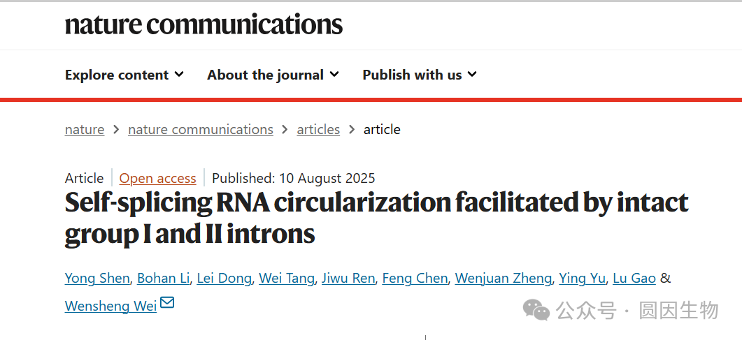 圆因生物，联合北大/昌平实验室发布RNA环化技术医药新闻-ByDrug-一站式医药资源共享中心-医药魔方