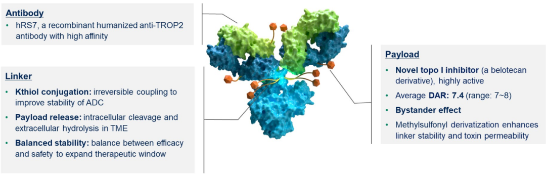 ADC 药物回顾、现状及未来方向医药新闻-ByDrug-一站式医药资源共享中心-医药魔方