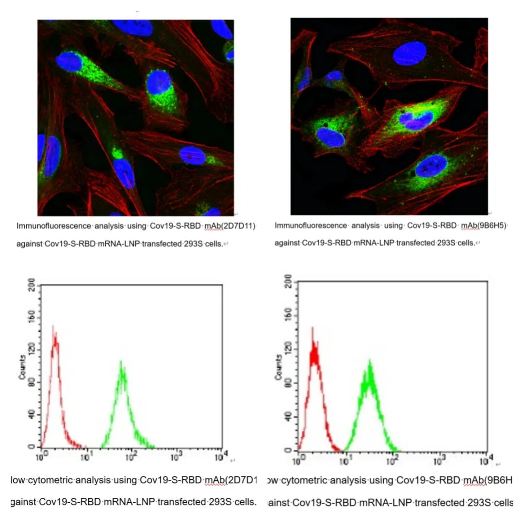 mRNA-LNP技术助力开发靶向多次跨膜蛋白抗体医药新闻-ByDrug-一站式医药资源共享中心-医药魔方
