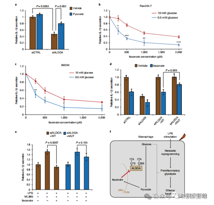 科”普专栏】| ABPP分析蛋白-代谢物相互作用网络---揭示衣康酸抗炎新机制医药新闻-ByDrug-一站式医药资源共享中心-医药魔方