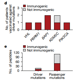 《Nature》重磅临床结果 | 个体化肿瘤多肽疫苗可长期抑制肾癌复发医药新闻-ByDrug-一站式医药资源共享中心-医药魔方
