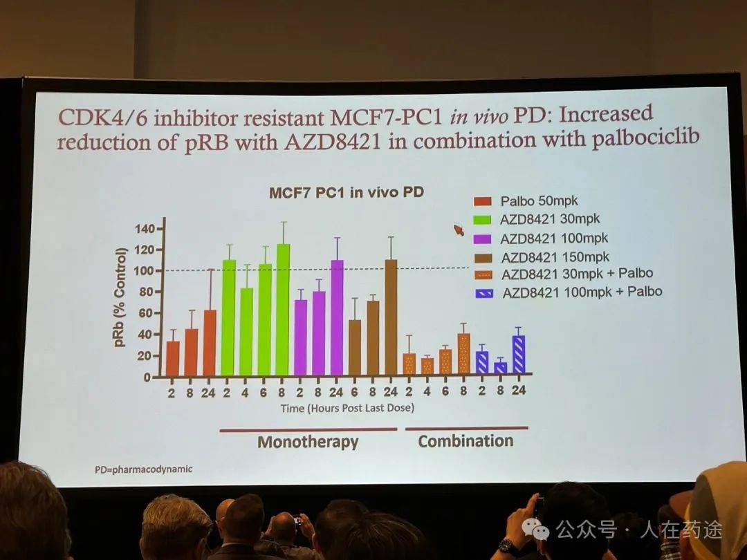 AACR24 | CDK2抑制剂AZD8421结构首次公开医药新闻-ByDrug-一站式医药资源共享中心-医药魔方