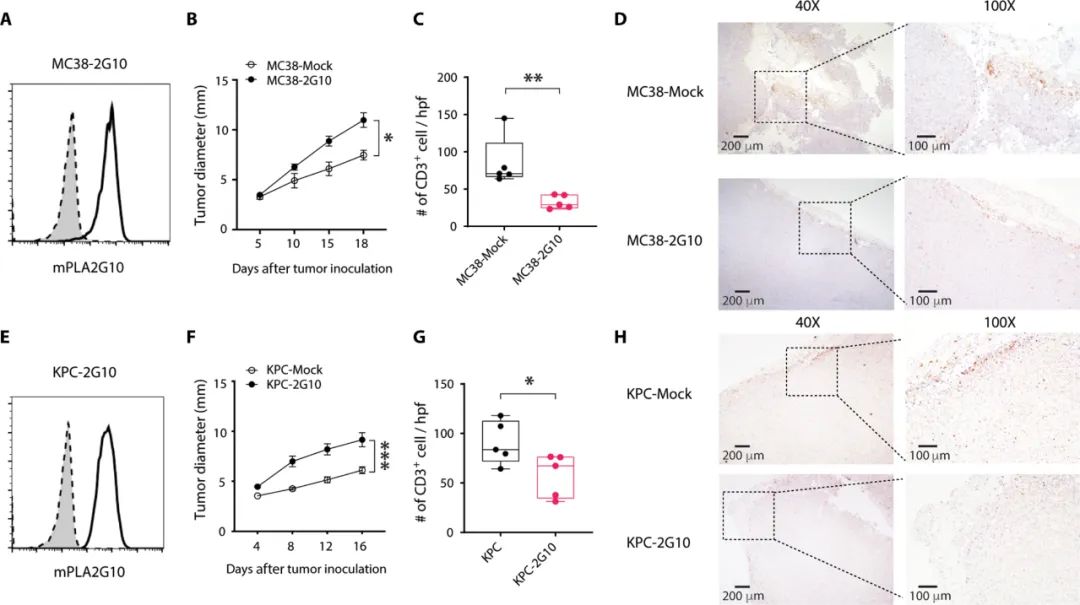 陈列平最新成果：癌症免疫治疗新靶点——PLA2G10医药新闻-ByDrug-一站式医药资源共享中心-医药魔方