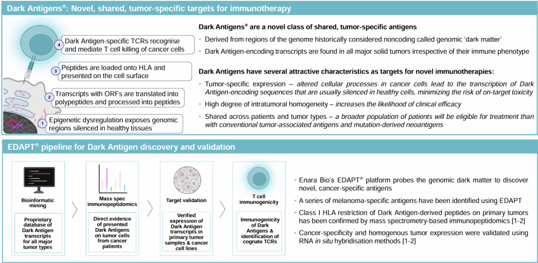 获3家MNC看好！3250万美元B轮融资，开发新型暗抗原免疫疗法医药新闻-ByDrug-一站式医药资源共享中心-医药魔方