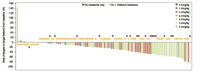 AACR2025：陆舜教授丨石药集团新型抗EGFR ADC SYS6010 I期研究数据亮相医药新闻-ByDrug-一站式医药资源共享中心-医药魔方