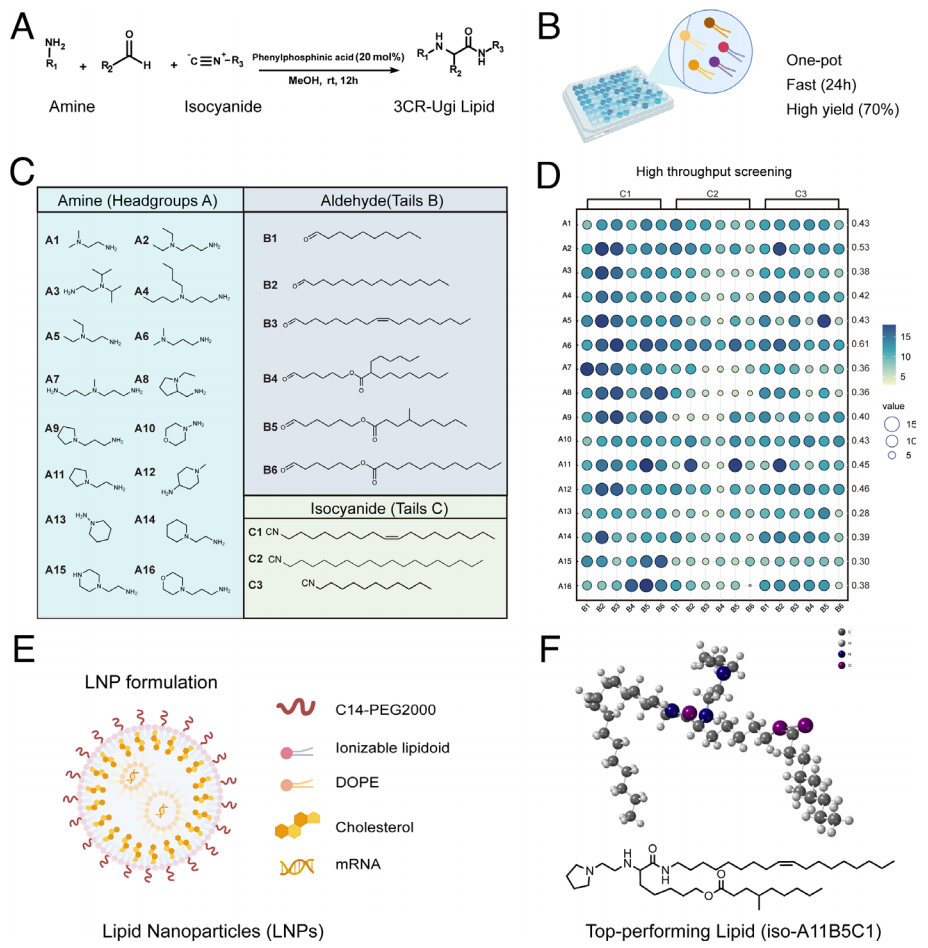华人学者开发新型LNP载体，实现向肌肉特异性递送mRNA疫苗和治疗药物医药新闻-ByDrug-一站式医药资源共享中心-医药魔方