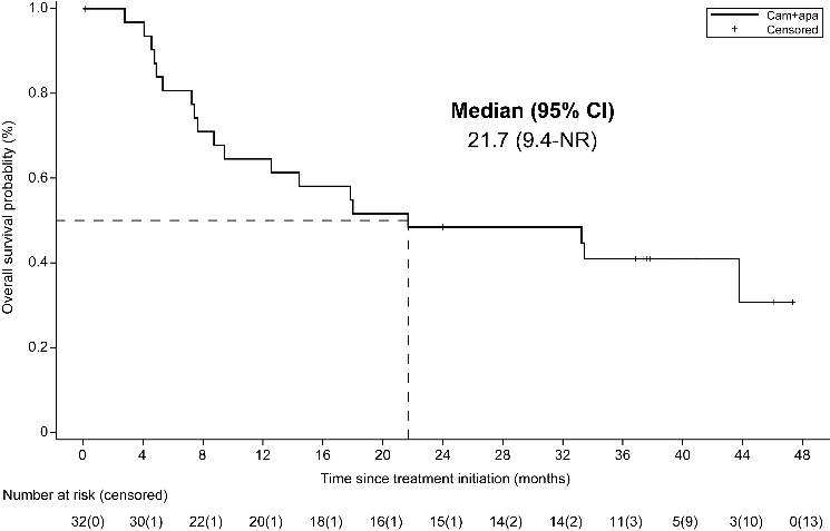 协同增效丨卡瑞利珠单抗联合阿帕替尼一线治疗晚期鳞状NSCLC结果重磅发布医药新闻-ByDrug-一站式医药资源共享中心-医药魔方