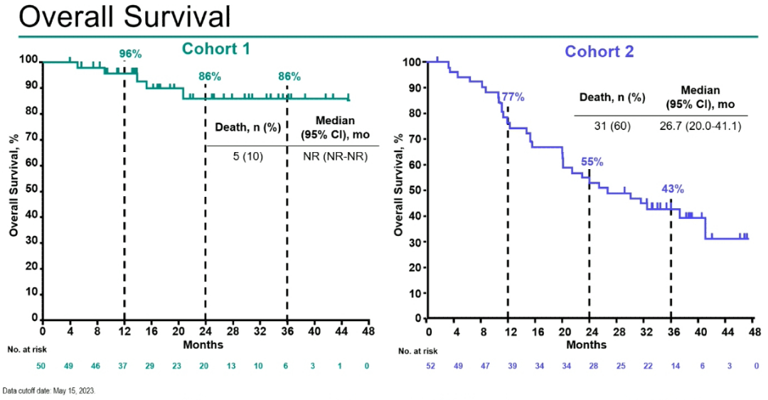 ESMO热评 | 盛锡楠教授：HIF-2α抑制剂可为晚期肾透明细胞癌患者提供新的靶向治疗选择医药新闻-ByDrug-一站式医药资源共享中心-医药魔方