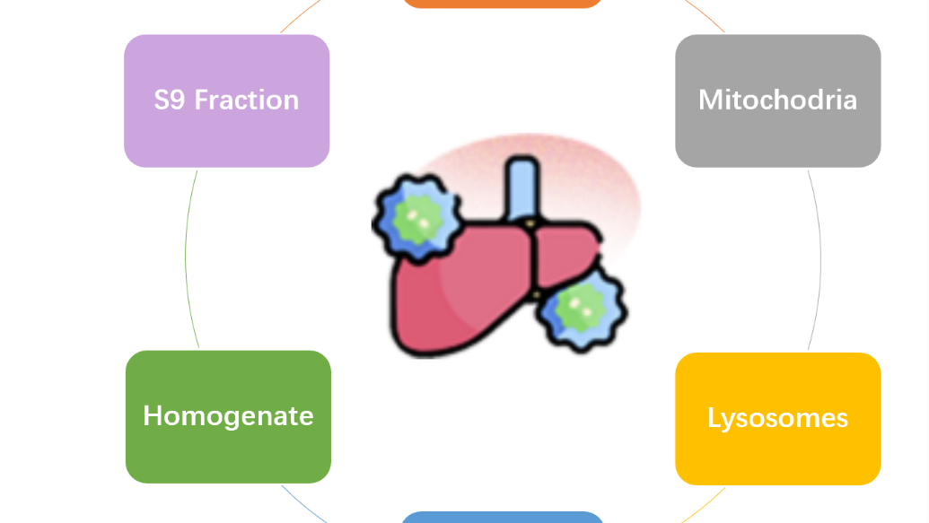 国内首家！IPHASE 新西兰兔肺微粒体助力药物代谢研究医药新闻-ByDrug-一站式医药资源共享中心-医药魔方