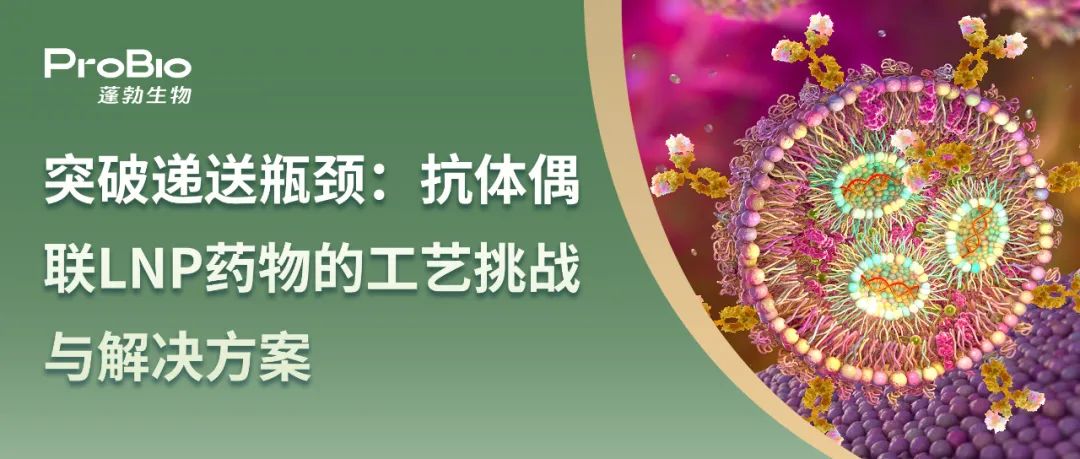 突破递送瓶颈：抗体偶联LNP药物的工艺挑战与解决方案医药新闻-ByDrug-一站式医药资源共享中心-医药魔方