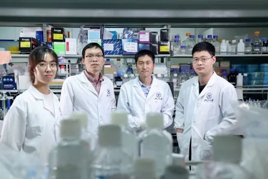 Science | 用“黑客”思维改写氨基酸“代码”，创造全新蛋白质医药新闻-ByDrug-一站式医药资源共享中心-医药魔方