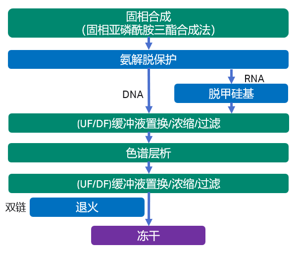 寡核苷酸GMP产线的工程技术挑战及全工艺解决方案医药新闻-ByDrug-一站式医药资源共享中心-医药魔方