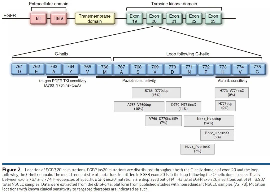 五张图读懂EGFR Exon20抑制剂医药新闻-ByDrug-一站式医药资源共享中心-医药魔方