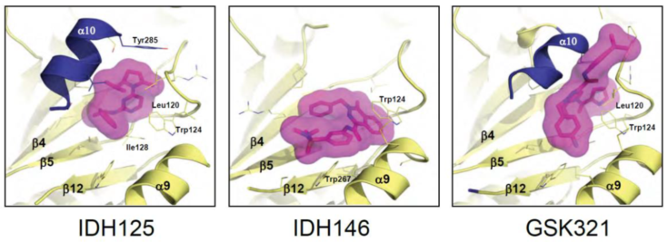 当肿瘤代谢遇见表观遗传调控——IDH突变肿瘤的靶向治疗（一)医药新闻-ByDrug-一站式医药资源共享中心-医药魔方