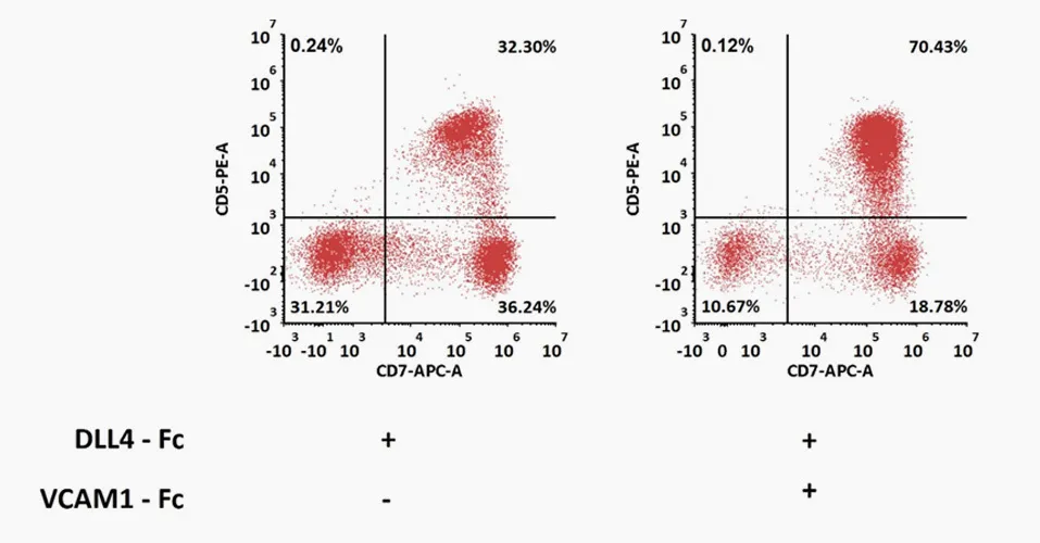 iPSC/T/NK细胞疗法CMC生产工艺解决方案医药新闻-ByDrug-一站式医药资源共享中心-医药魔方