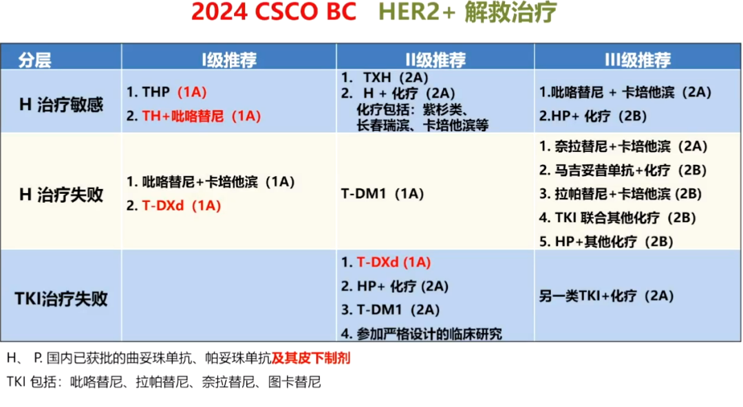 2024全国乳腺癌大会丨殷咏梅教授：CSCO BC指南更新，HER2+晚期乳腺癌患者的治疗选择更加多元化、个体化医药新闻-ByDrug-一站式医药资源共享中心-医药魔方