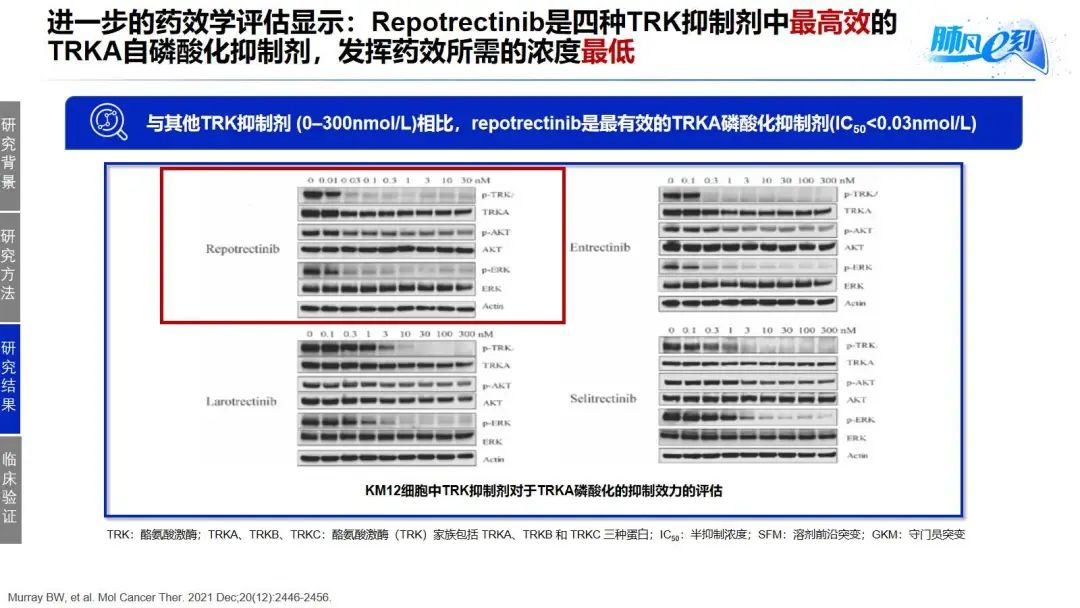 肺凡e刻 | 最前沿第十四期，沈波教授解读Repotrectinib的分子特征——能够有效抑制TRK融合蛋白和耐药突变医药新闻-ByDrug-一站式医药资源共享中心-医药魔方