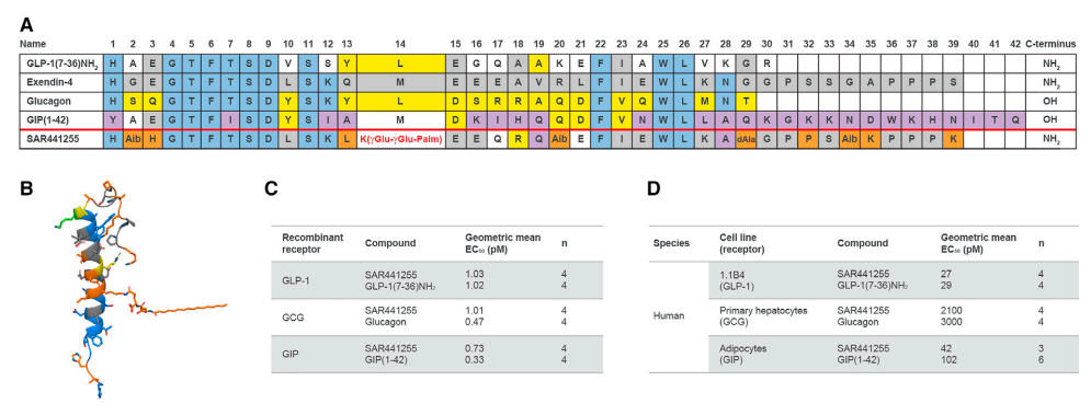 挑战司美格鲁肽！民为生物GLP-1/GCG/GIP-Fc融合蛋白加入战场医药新闻-ByDrug-一站式医药资源共享中心-医药魔方