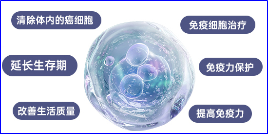 了解不同的免疫细胞---NK细胞和TIL细胞医药新闻-ByDrug-一站式医药资源共享中心-医药魔方