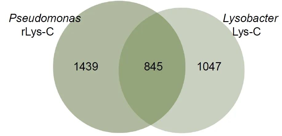 技术 | 蛋白质组学样品制备利器：新型重组Lys-C蛋白酶医药新闻-ByDrug-一站式医药资源共享中心-医药魔方