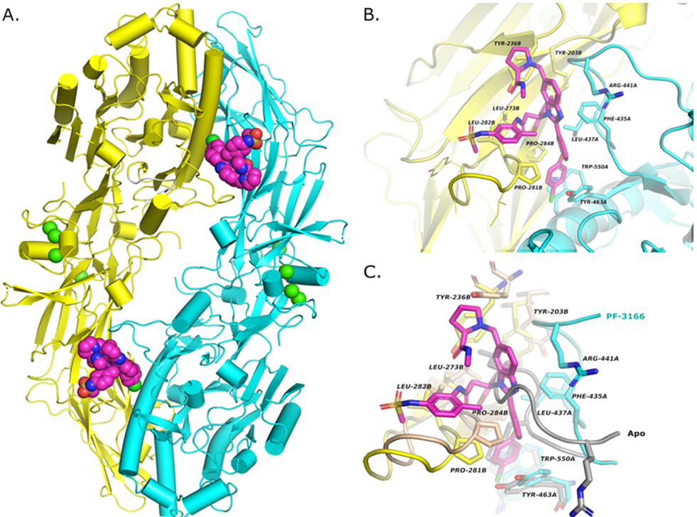 科技前沿 | 成都先导与辉瑞合作发现新颖变构机制PAD2抑制剂，为炎症和自身免疫性疾病治疗带来新希望医药新闻-ByDrug-一站式医药资源共享 ...