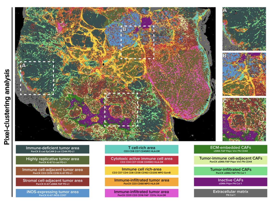 新品发布 | IMC组织质谱流式成像解决方案助力单细胞空间生物学深度探索医药新闻-ByDrug-一站式医药资源共享中心-医药魔方