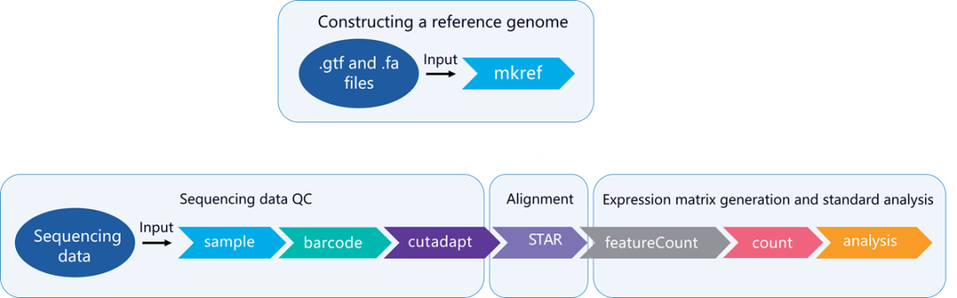 新品上市 | 新格元于2024基因组学节发布两款AccuraSCOPE单细胞产品医药新闻-ByDrug-一站式医药资源共享中心-医药魔方