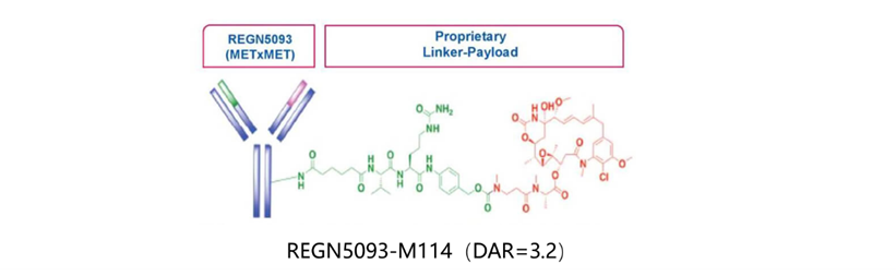 首款加速冲刺上市，艾伯维公布c-Met ADC II期临床积极数据医药新闻-ByDrug-一站式医药资源共享中心-医药魔方
