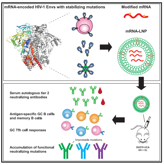 诺奖得主的选择：HIV疫苗研发原来靠它医药新闻-ByDrug-一站式医药资源共享中心-医药魔方