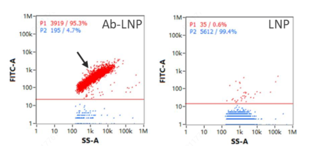 突破递送瓶颈：抗体偶联LNP药物的工艺挑战与解决方案医药新闻-ByDrug-一站式医药资源共享中心-医药魔方