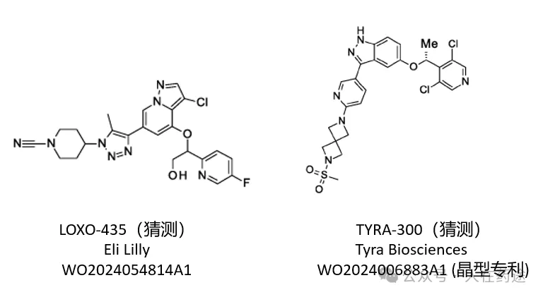 选择性FGFR3抑制剂：冲击下一个蓝海市场医药新闻-ByDrug-一站式医药资源共享中心-医药魔方