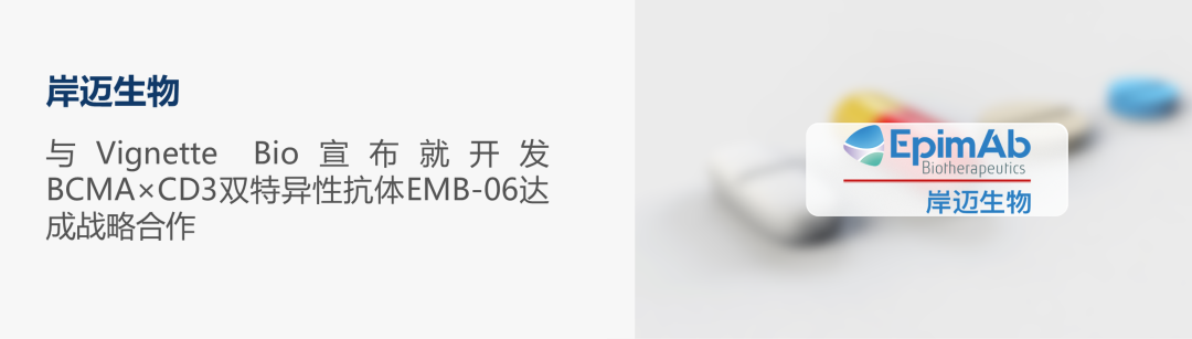 「岸迈生物」与Vignette Bio宣布就开发BCMA×CD3双特异性抗体EMB-06达成战略合作医药新闻-ByDrug-一站式医药资源共享 ...