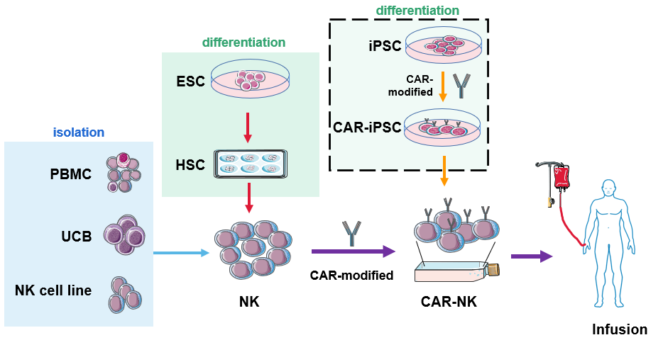 打破癌症治疗困局，CAR-NK细胞疗法的革新之路医药新闻-ByDrug-一站式医药资源共享中心-医药魔方