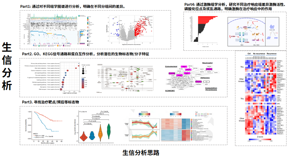 SH2 Superbinder：揭开酪氨酸磷酸化神秘面纱医药新闻-ByDrug-一站式医药资源共享中心-医药魔方