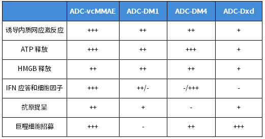 研发速览 | 常用ADC载荷诱导免疫原性细胞死亡能力比较医药新闻-ByDrug-一站式医药资源共享中心-医药魔方