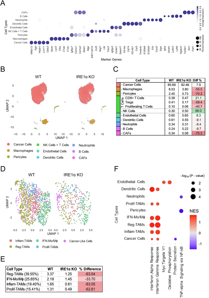 项目文章 | 前列腺癌的抗肿瘤免疫：靶向IRE1α重新编程肿瘤微环境医药新闻-ByDrug-一站式医药资源共享中心-医药魔方