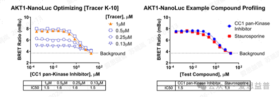AKT抑制剂研究进展及筛选策略医药新闻-ByDrug-一站式医药资源共享中心-医药魔方