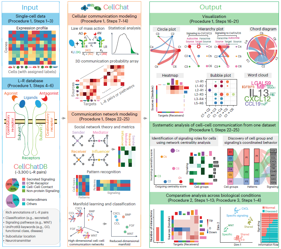 单细胞之CellChat如何推断细胞间相互作用医药新闻-ByDrug-一站式医药资源共享中心-医药魔方