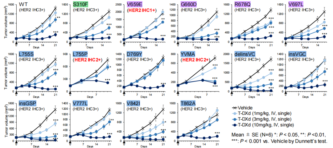盛湲教授：ADC药物的狂欢—AACR T-DXd最新数据盘点医药新闻-ByDrug-一站式医药资源共享中心-医药魔方