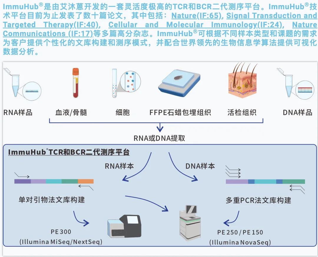 TCR探索：揭秘1型糖尿病背后的T细胞追踪医药新闻-ByDrug-一站式医药资源共享中心-医药魔方